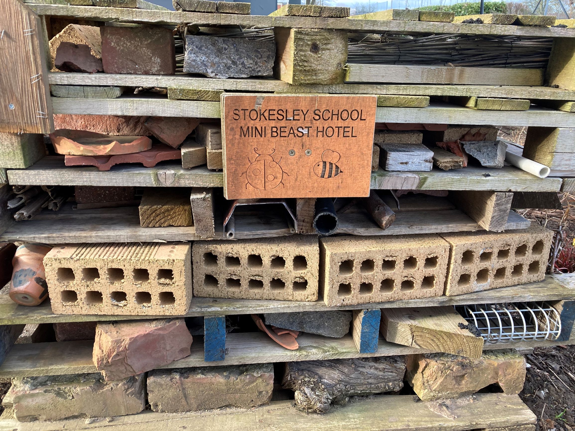 Stokesley School – Climate Action Stokesley and Villages