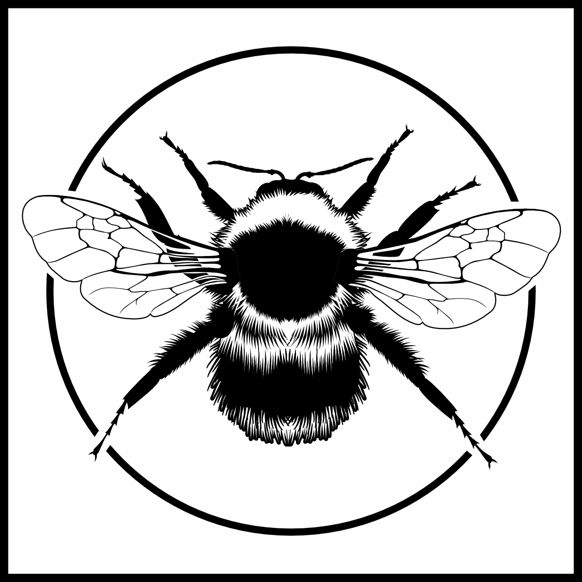 Bug Trail – Climate Action Stokesley and Villages