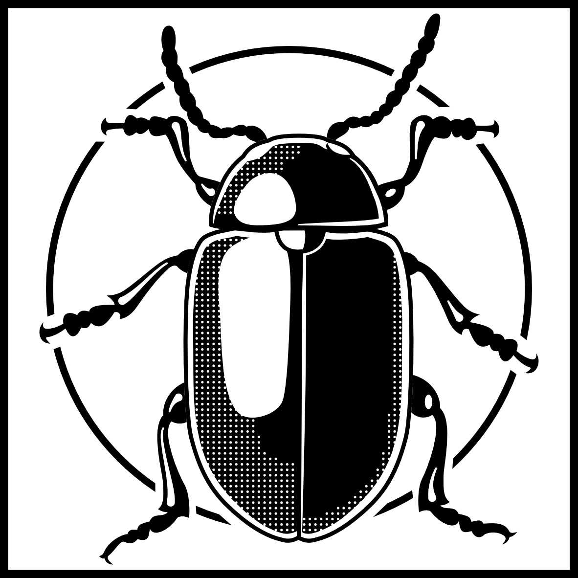 Bug Trail – Climate Action Stokesley and Villages