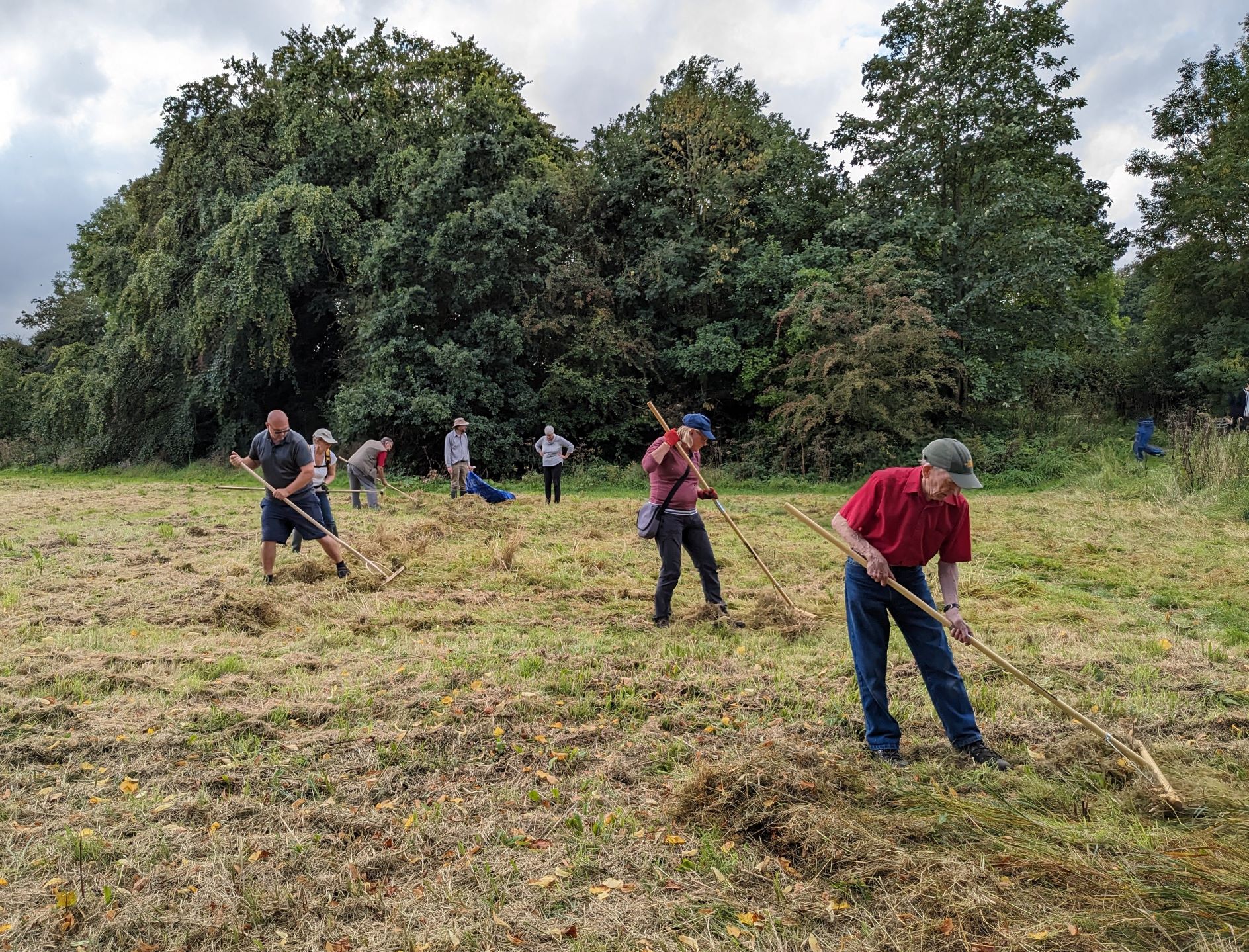 Floodplain meadow – Climate Action Stokesley and Villages