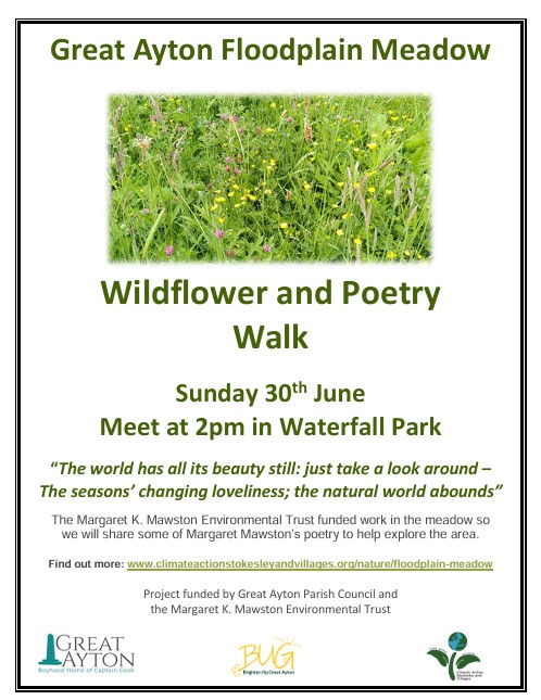 Floodplain meadow – Climate Action Stokesley and Villages